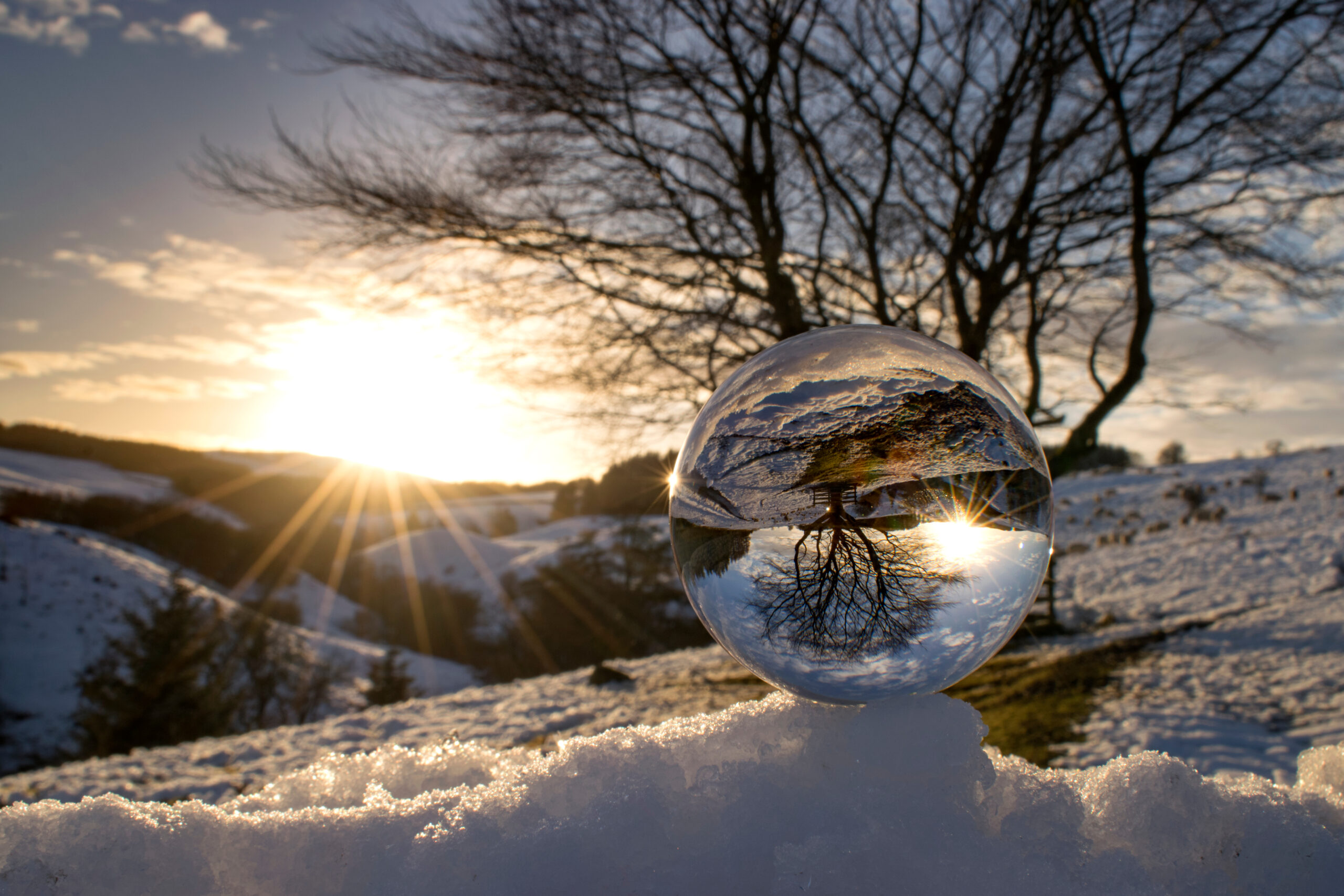 Restaurant Revitalization Fund (RRF) - Latest Update | Newburg & Company